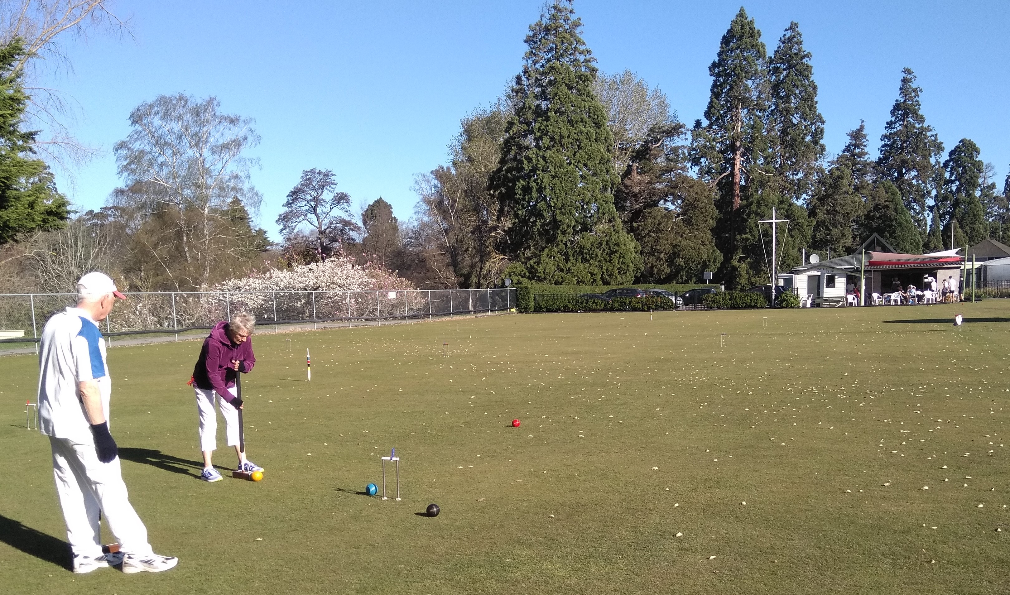 United Spring GC Tournament 2018 | United Croquet Club